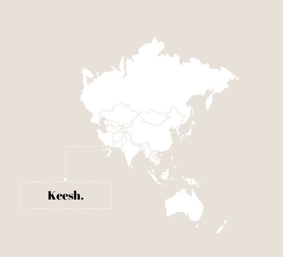 Allmänna villkor – KEESH